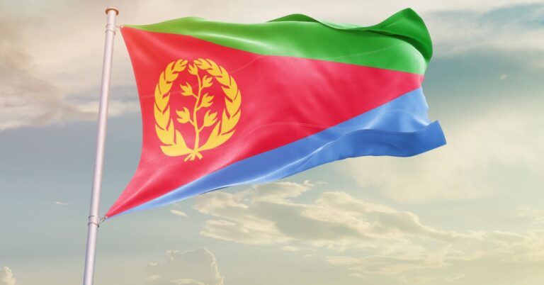 Withdrawing From IGAD: The Cost Of Coherence And The Solitude Of Choice ...